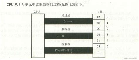 汇编语言第一章基础知识汇编语言中初值怎么判断 Csdn博客