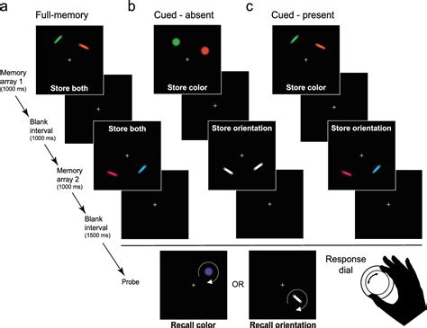Figure 1 From Obligatory Encoding Of Task Irrelevant Features Depletes Working Memory Resources