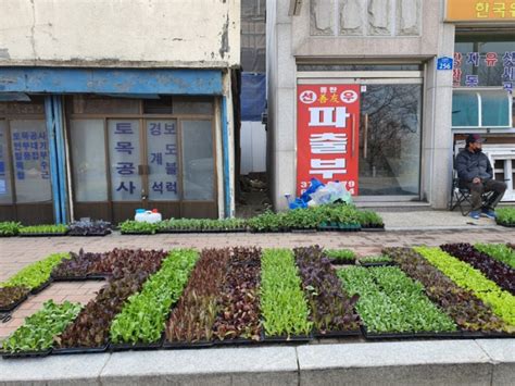 오산시장맛집 가마통 오산옛날통닭 꼭 사와야해요 네이버 블로그