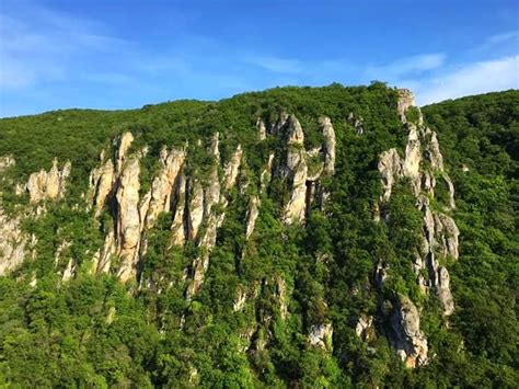 ორდღიანი ჯიპტური ვაშლოვანის ნაკრძალში სიღნაღი ყვარელი ლაგოდეხი 0 Gel ჯიპტური საქართველო