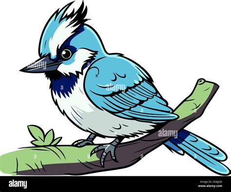 Blue Jay Bird On A Branch Vector Illustration In Cartoon Style Stock