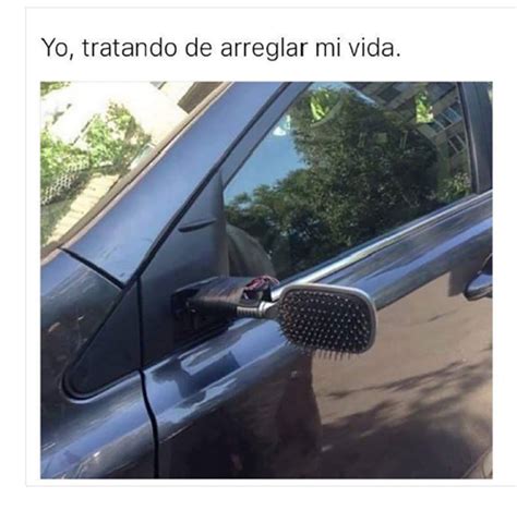 15 imágenes graciosas te harán decir la vida es un meme