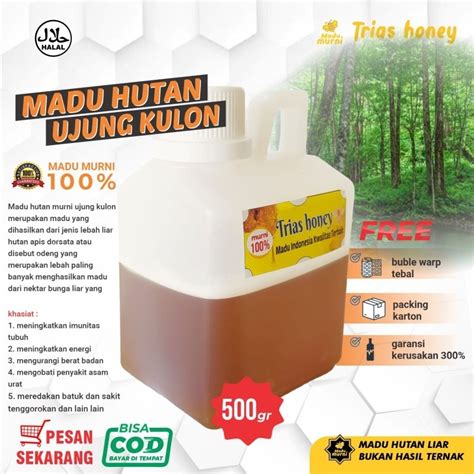 Jual Madu Murni Hutan Ujung Kulon Madu Mentah Lebah Apis Dorsata Madu