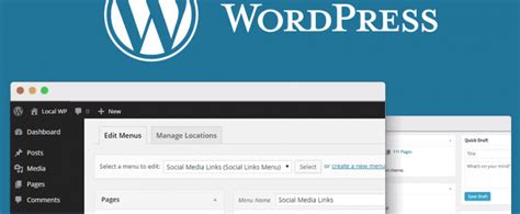 Advantagesdisadvantages Of Using Existing Wordpress Theme Raon Digital