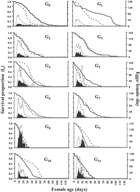Survival Proportion Lx And Fecundity As The Number Of Eggs Per Female