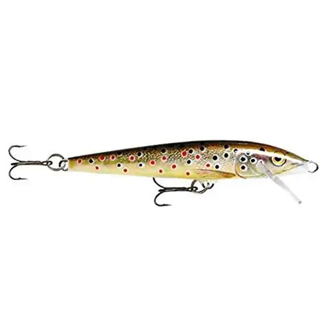 8 Best Lures For Brown Trout Catch More Trout In 2025