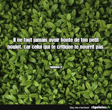 Il Ne Faut Jamais Avoir Honte Blagues Et Les Meilleures Images