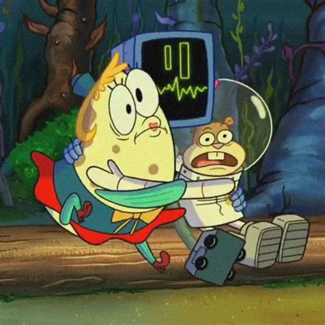 Season 12 A Cabin In The Kelp