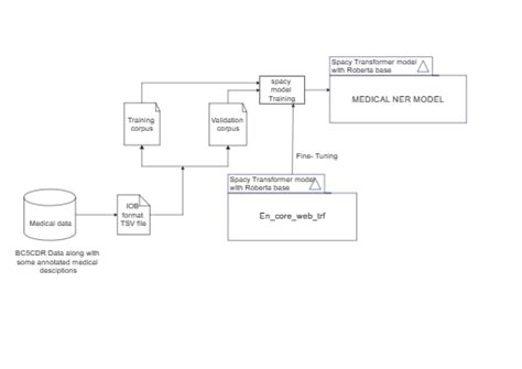 Medical Named Entity Recognition NER Model Training Workflow