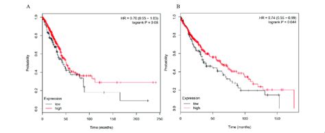The Correlations Of Mir 486 5p Levels And Survival Months In Nsclc