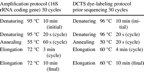 Pcr Protocols For Amplification Of The 16s Rrna Coding Gene And Download Scientific Diagram