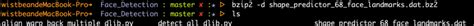 用 Python 分分钟让旧照片修复清晰 CSDN博客