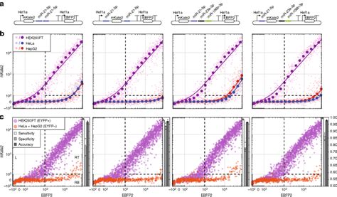 Mirna Target Site Position Affects Cell Classifier Performance