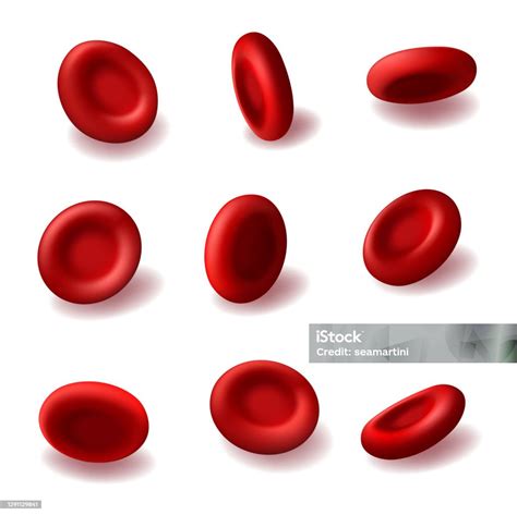 적혈구 3d 벡터 헤모글로빈 혈액학 3차원 형태에 대한 스톡 벡터 아트 및 기타 이미지 3차원 형태 Lcd 건강관리와 의술 Istock