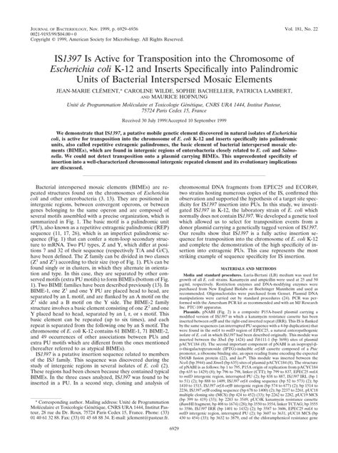 Pdf Is1397 Is Active For Transposition Into The Chromosome Of