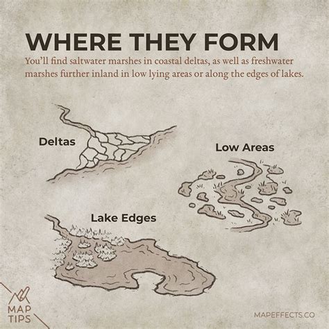 Drawing Marshes On Your Fantasy Maps Where Do They Form Map Effects