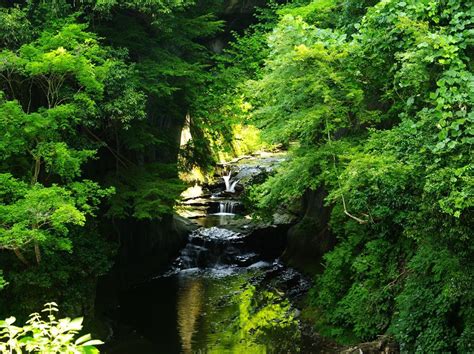 第106話の写真パート2／綺麗な風景写真が撮りたいの近況ノート カクヨム