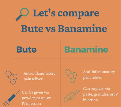 Bute Vs Banamine Whats The Difference Horse Health Medical
