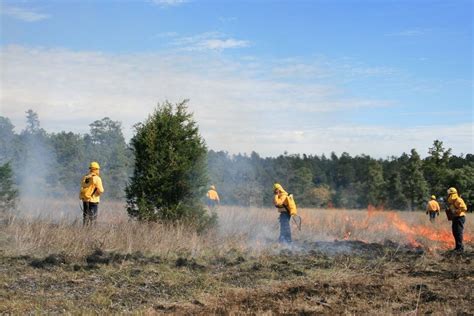 Van 8 Incendios Forestales En Durango En Lo Que Va De 2023
