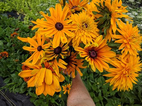 About — Snuggle Bug Farm