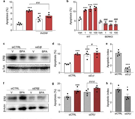 Figure 4 From G Protein Coupled Estrogen Receptor Activation By