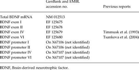 Identification Of Each Promoter Fragment And Exon Download Table