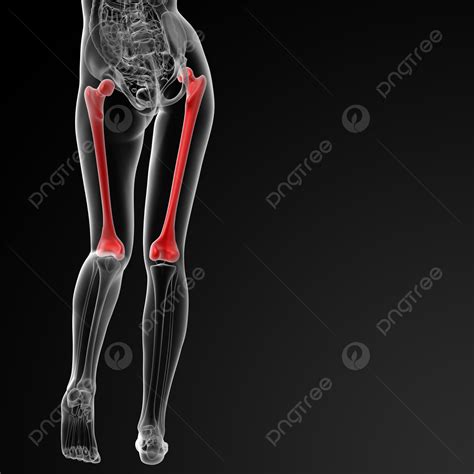 Gambar Background Illium Vektor Dan File Psd Untuk Unduh Gratis Pngtree