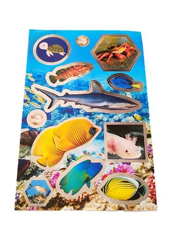 NAKLEJKI RYBY RYBKI WODNE OCEAN FAUNA I FLORA 13405579272 Allegro Pl
