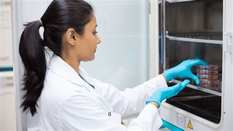 Human Tissue Microarray Life Science Company Mymab Biologics