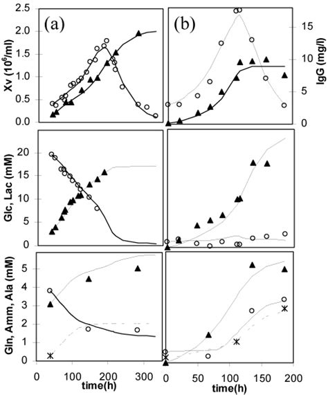 Hybrid Model Results For A Training Data Set A And A Validation Data Download Scientific
