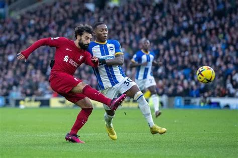 Brighton Vs Liverpool Prediction And Odds Ahead Of Fa Cup Clash