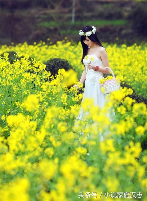 花田裡的漂亮美妙身材女子 每日頭條