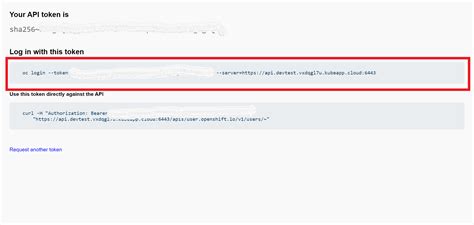Access Your Cluster Stakater App Agility Platform Saap