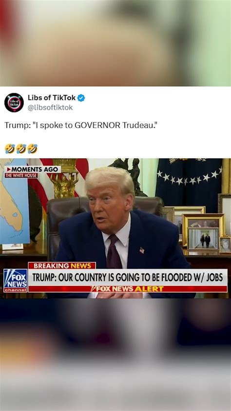 Libs Of Tiktok Chaya Raichik You Cant Make This Up Instagram