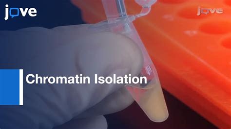 Chromatin Isolation By Rna Purification Chirp L Protocol Preview Youtube