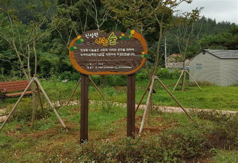 무안 공원 나무안내판 제작 나무간판 신대디자인테크주