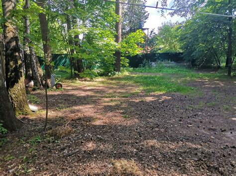 Земли поселения Московская область городской округ Щёлково дачный посёлок Загорянский