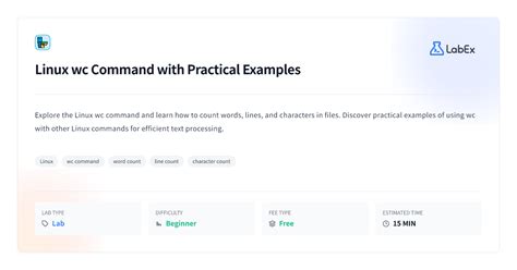 Linux Wc Command With Practical Examples Labex