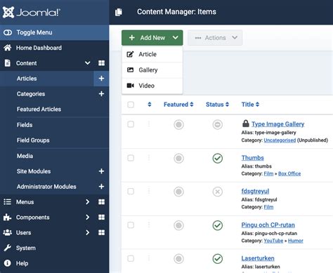 plugin ja content type removed video and gallery options support central