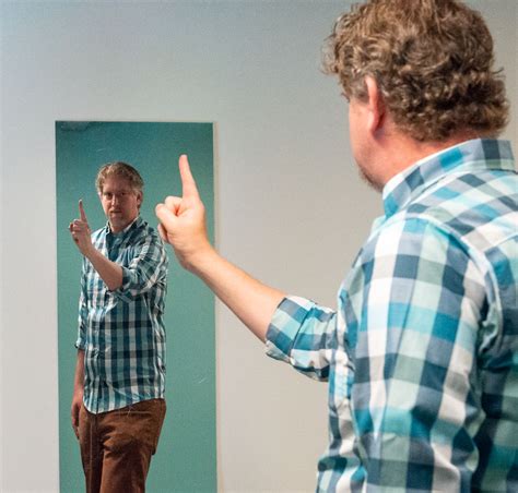 mirror reversal perception and light and color science activity