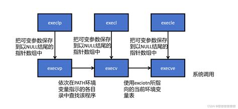 Linux进程替换 Andand 自主shell程序 Csdn博客