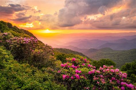 Premium Photo The Craggies In The Blue Ridge Mountains