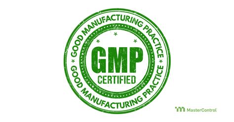 Gamp 5 Compliance For Software Validation Mastercontrol