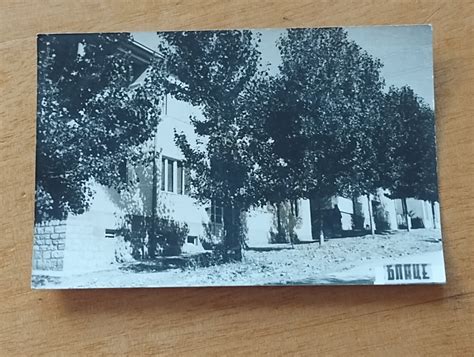 Blace Putovala 79051345