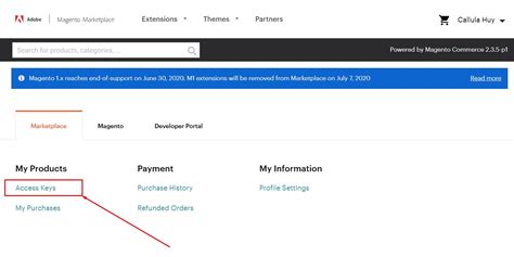 Hướng Dẫn Cài đặt Sample Data Trong Magento 2 Magetop Blog