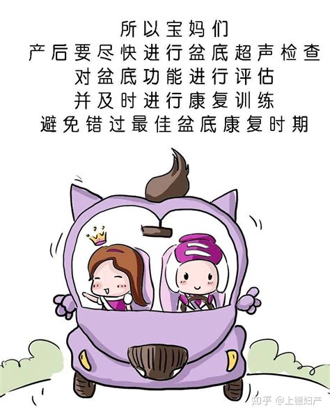 盆底肌的世界女人一定要懂不然 知乎