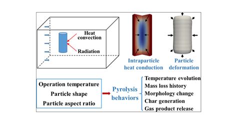 Three Dimensional Simulation Of The Pyrolysis Of A Thermally Thick Biomass Particle Energy And Fuels