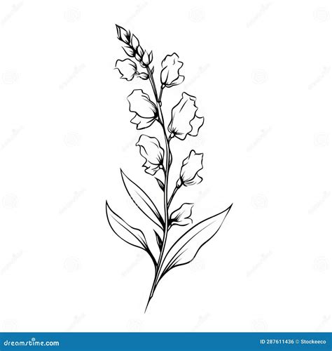 Organic Simplicity Delicate Flower Sketch Tattoo Design Stock