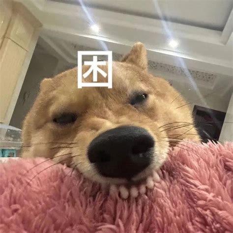 看起来就有病的表情包 知乎