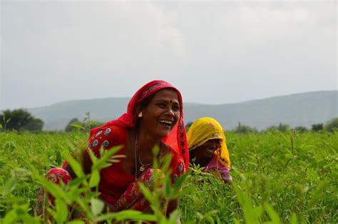 Indian Farmer Wallpapers Top Free Indian Farmer Backgrounds